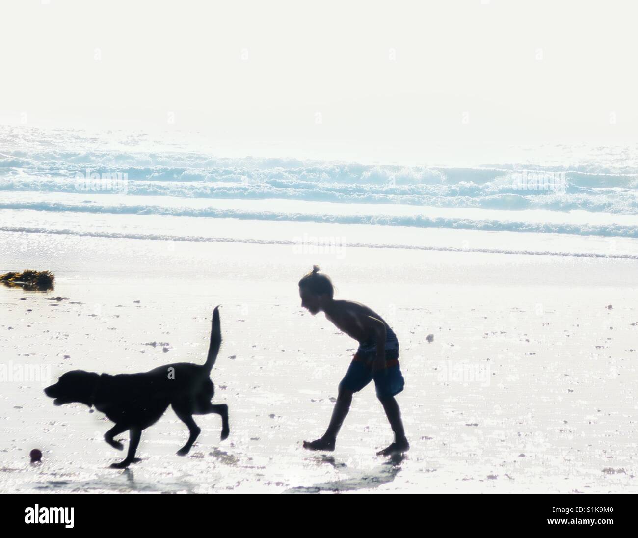 Boy and dog hi-res stock photography and images - Alamy