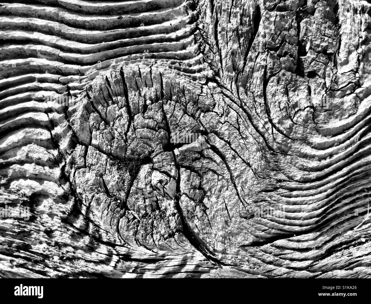 Weathered Wood Grain Texture in Contrast Black and White Stock Photo ...