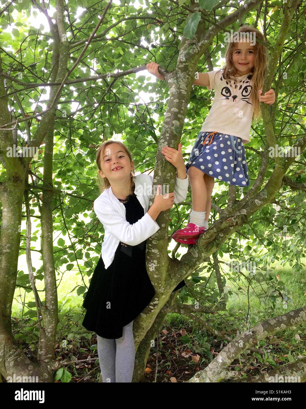 Girls climbing trees hi-res stock photography and images - Alamy