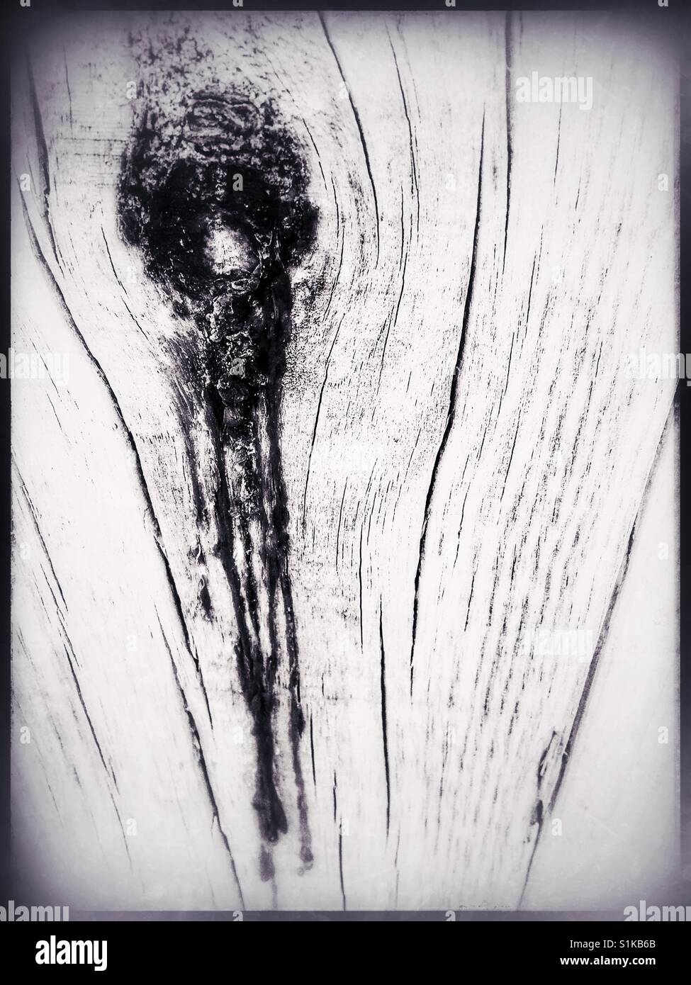 Knot in Oak post weeping tree sap Stock Photo - Alamy