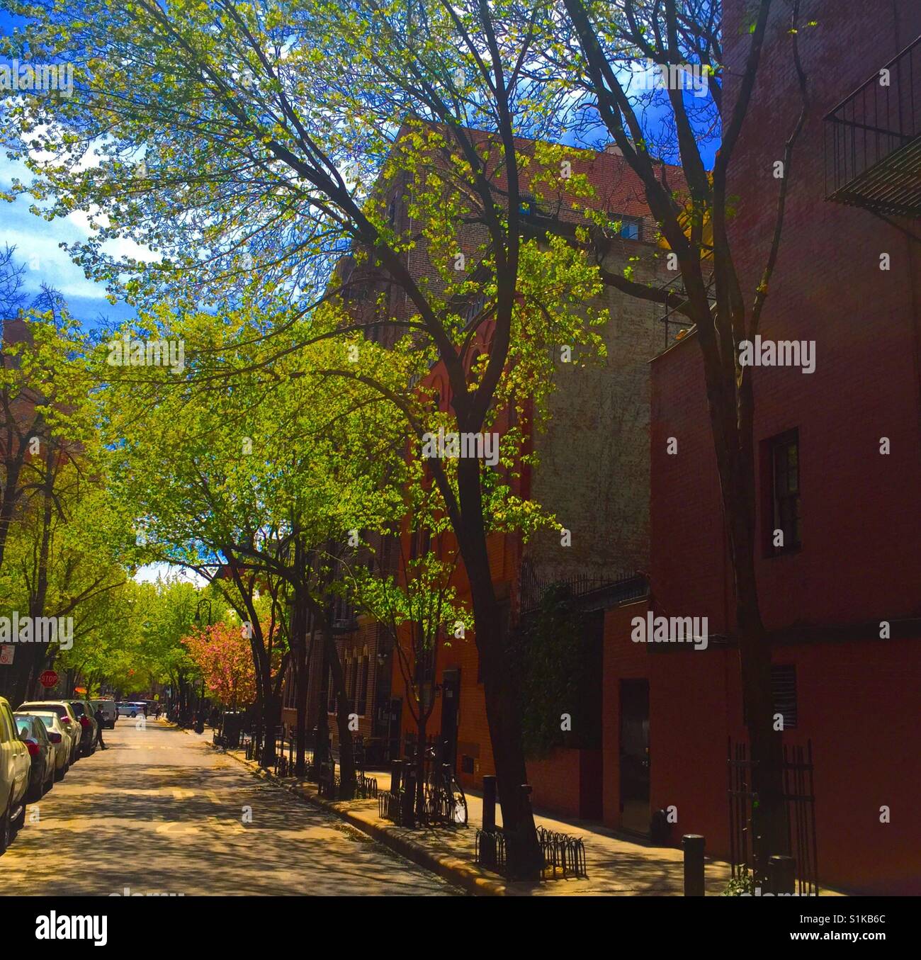 Spring nyc hi-res stock photography and images - Alamy