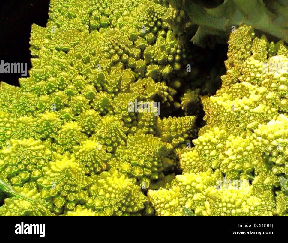 Fractal fruit hi-res stock photography and images - Alamy