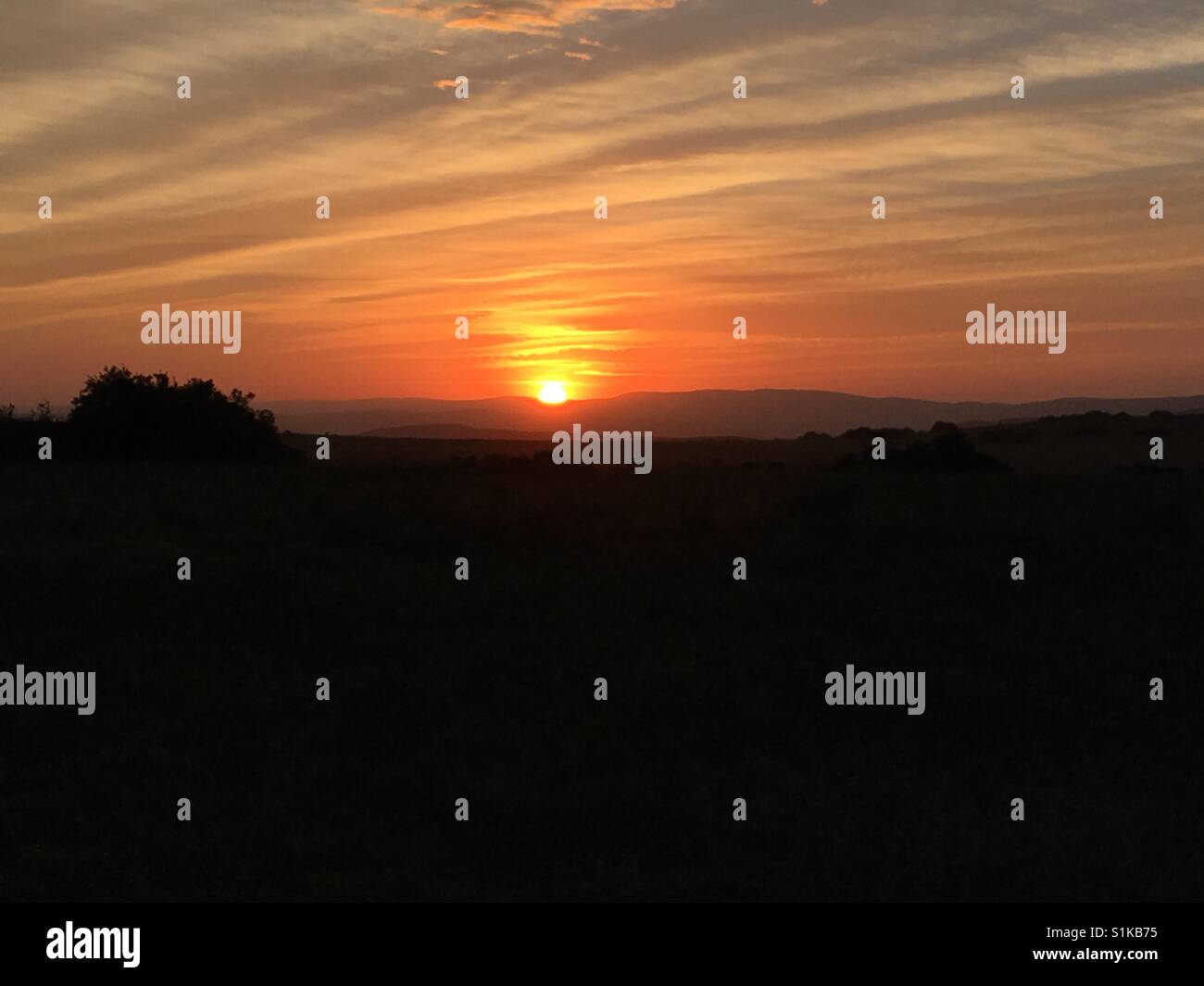 Game reserve sunset hi-res stock photography and images - Alamy