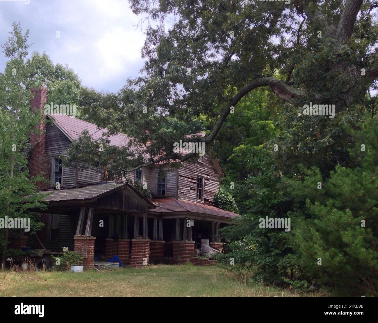 Decrepit tree hi-res stock photography and images - Alamy