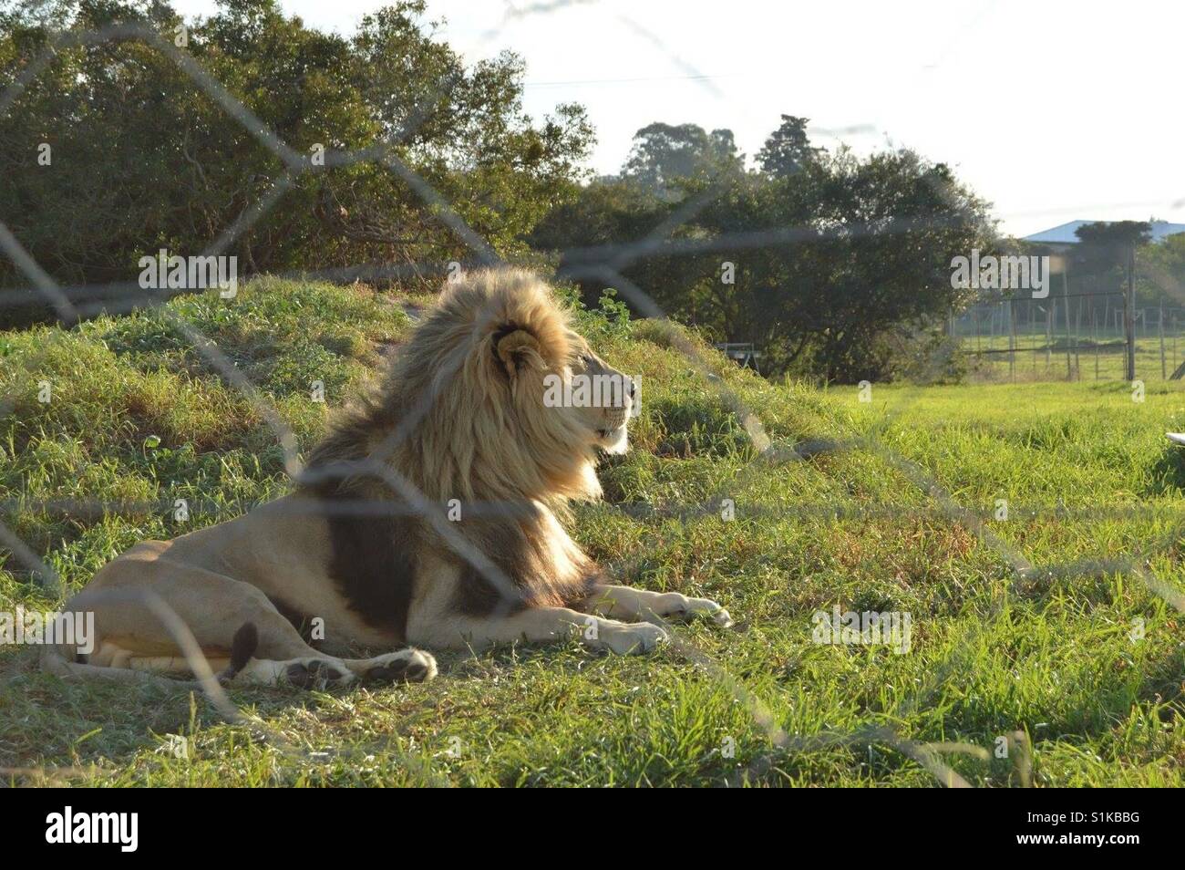 Sir garfield hi-res stock photography and images - Alamy