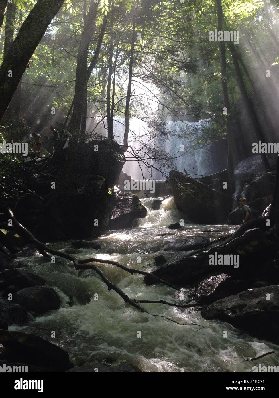 Cucumber waterfall hi-res stock photography and images - Alamy