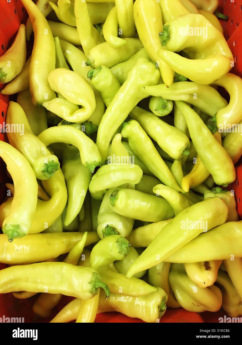 Yellow peppers at a farmer's stand Stock Photo - Alamy