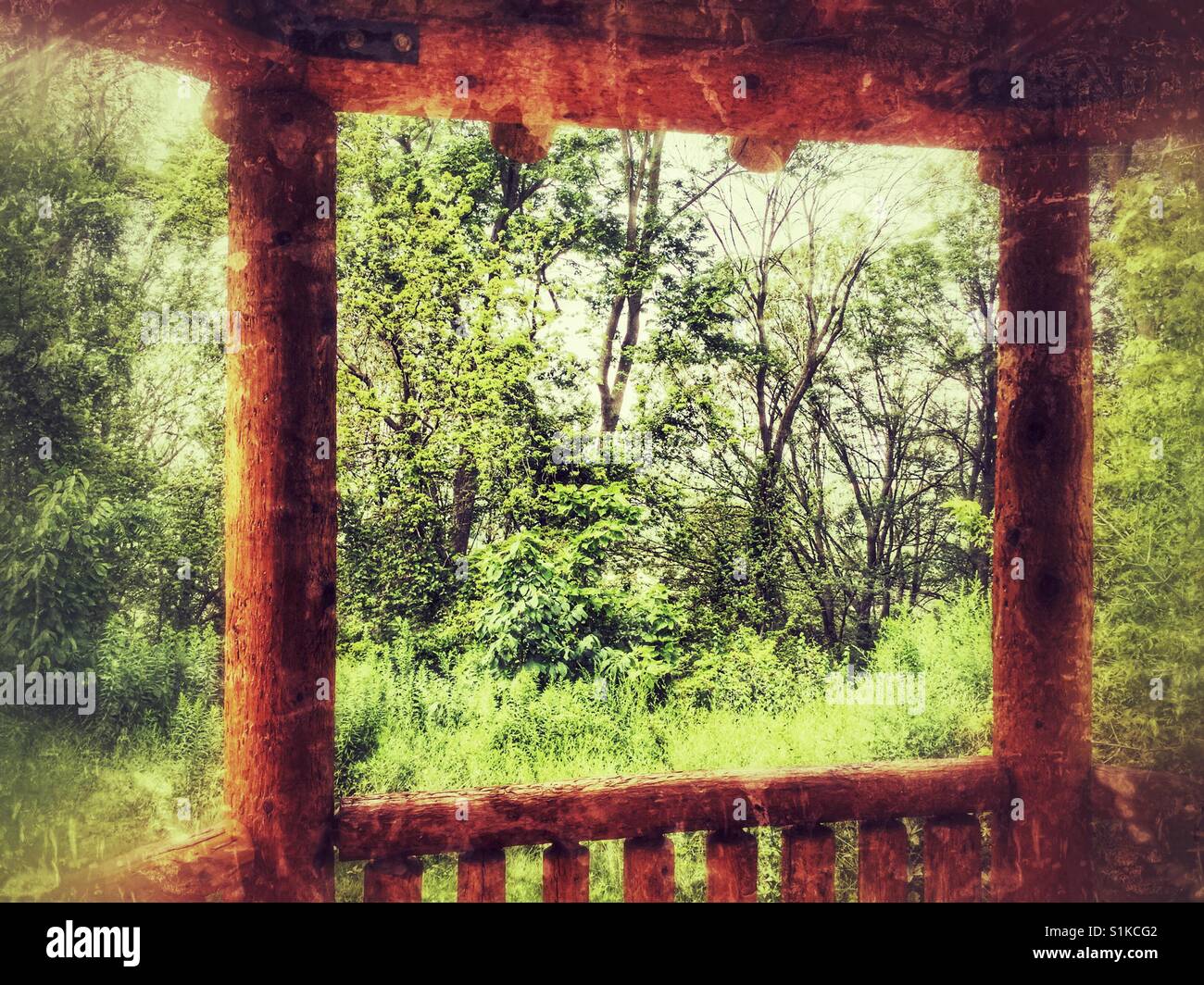Picture window into the woods Stock Photo - Alamy