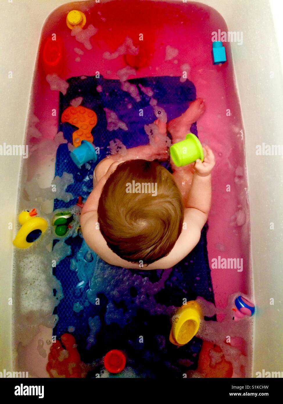 Pinkwater hi-res stock photography and images - Alamy