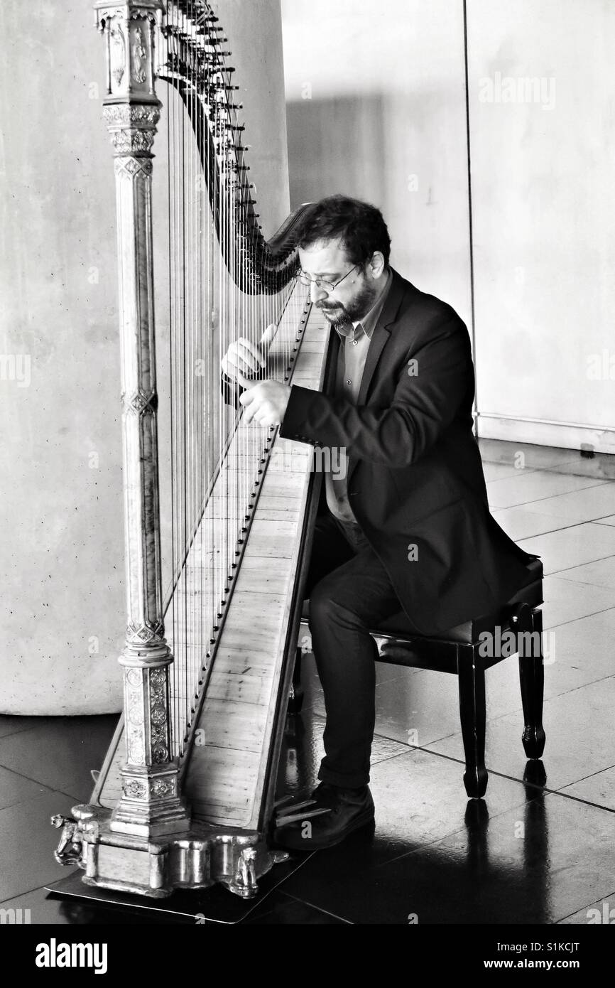 Harpist hi-res stock photography and images - Alamy