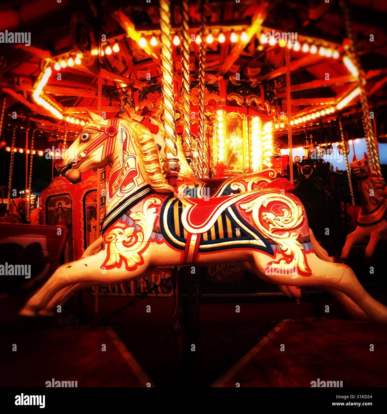 Horsing around hi-res stock photography and images - Alamy