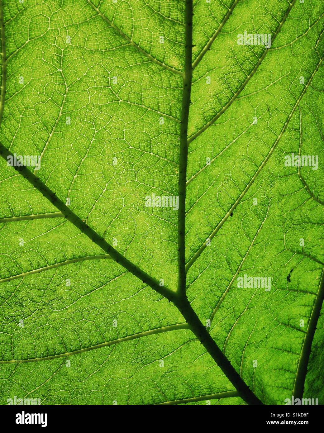 Kw0p hi-res stock photography and images - Alamy