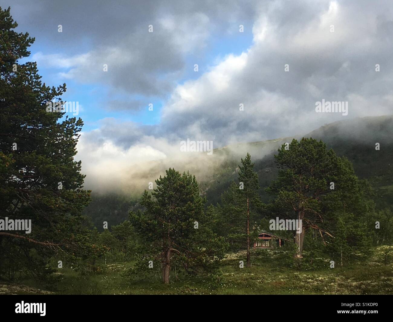 Feet, Sysendalen, Hardangervidda, Norway Stock Photo - Alamy