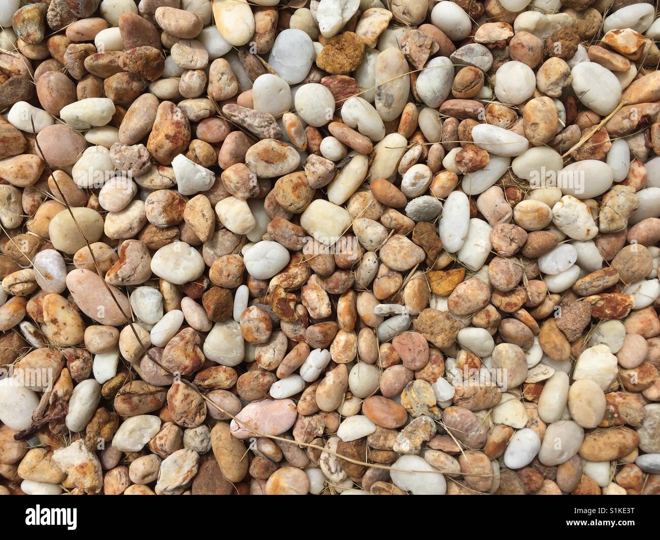 Garden rocks hi-res stock photography and images - Alamy