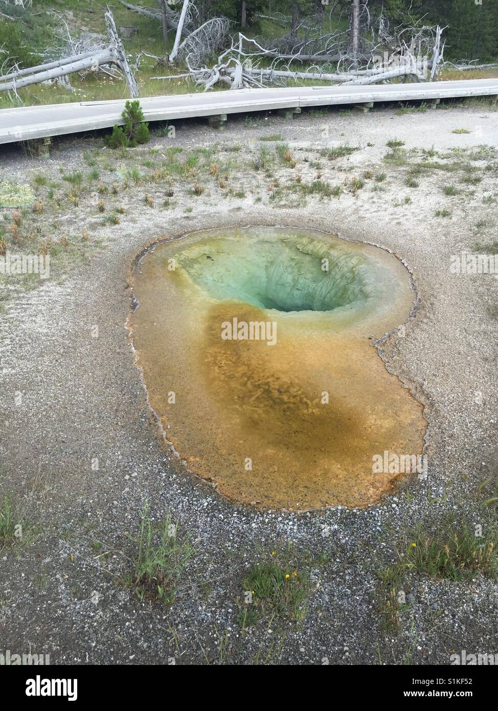 Yellowstone National Park color pools chromatic hot springs geological ...