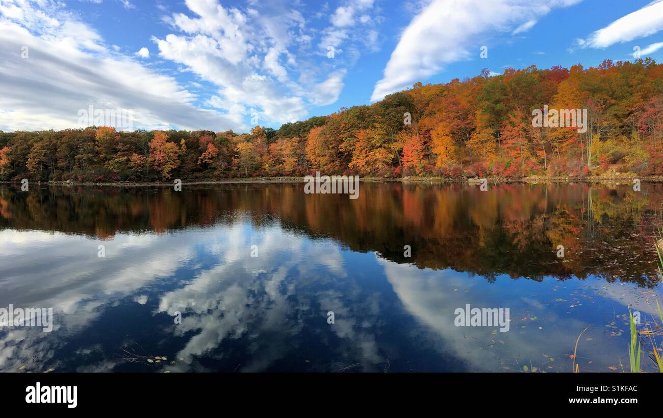 It is Autumn! Stock Photo - Alamy
