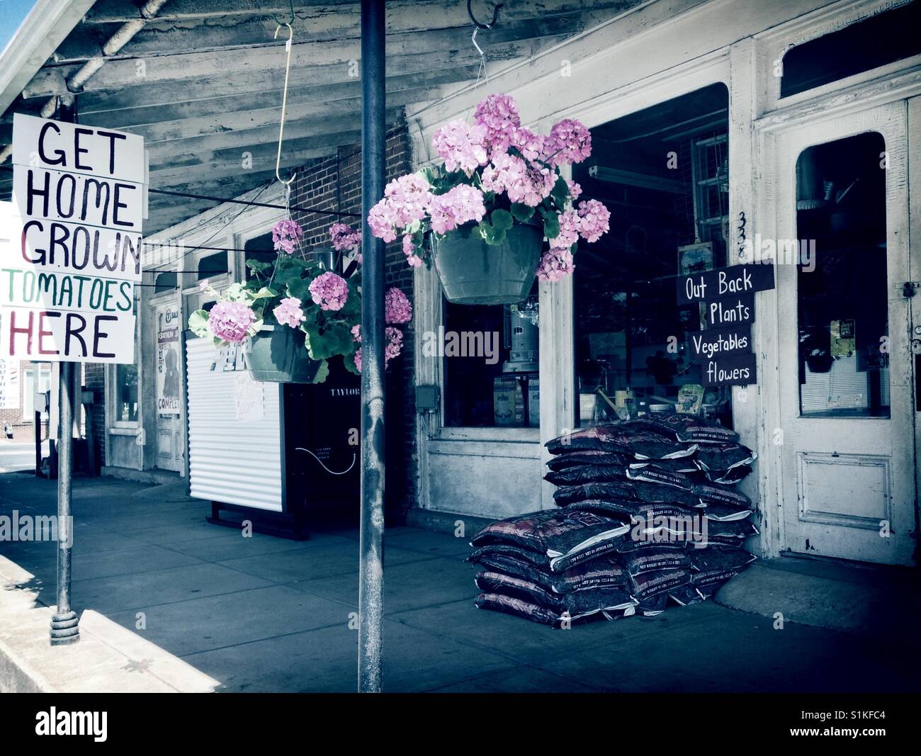 Plants that are hand grown hi-res stock photography and images - Alamy