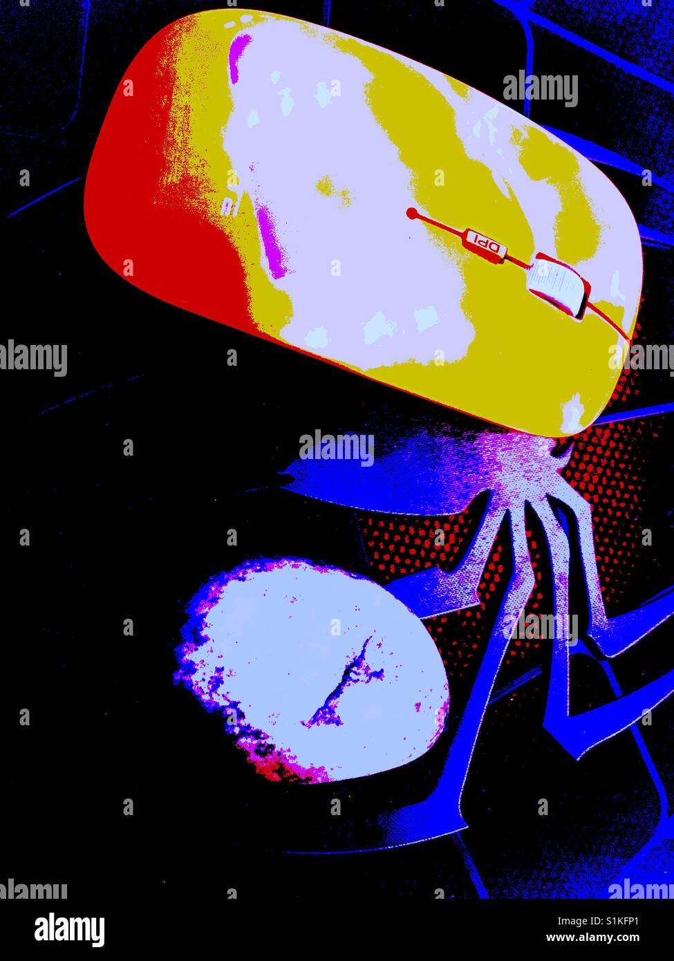 Mouse spider hi-res stock photography and images - Alamy