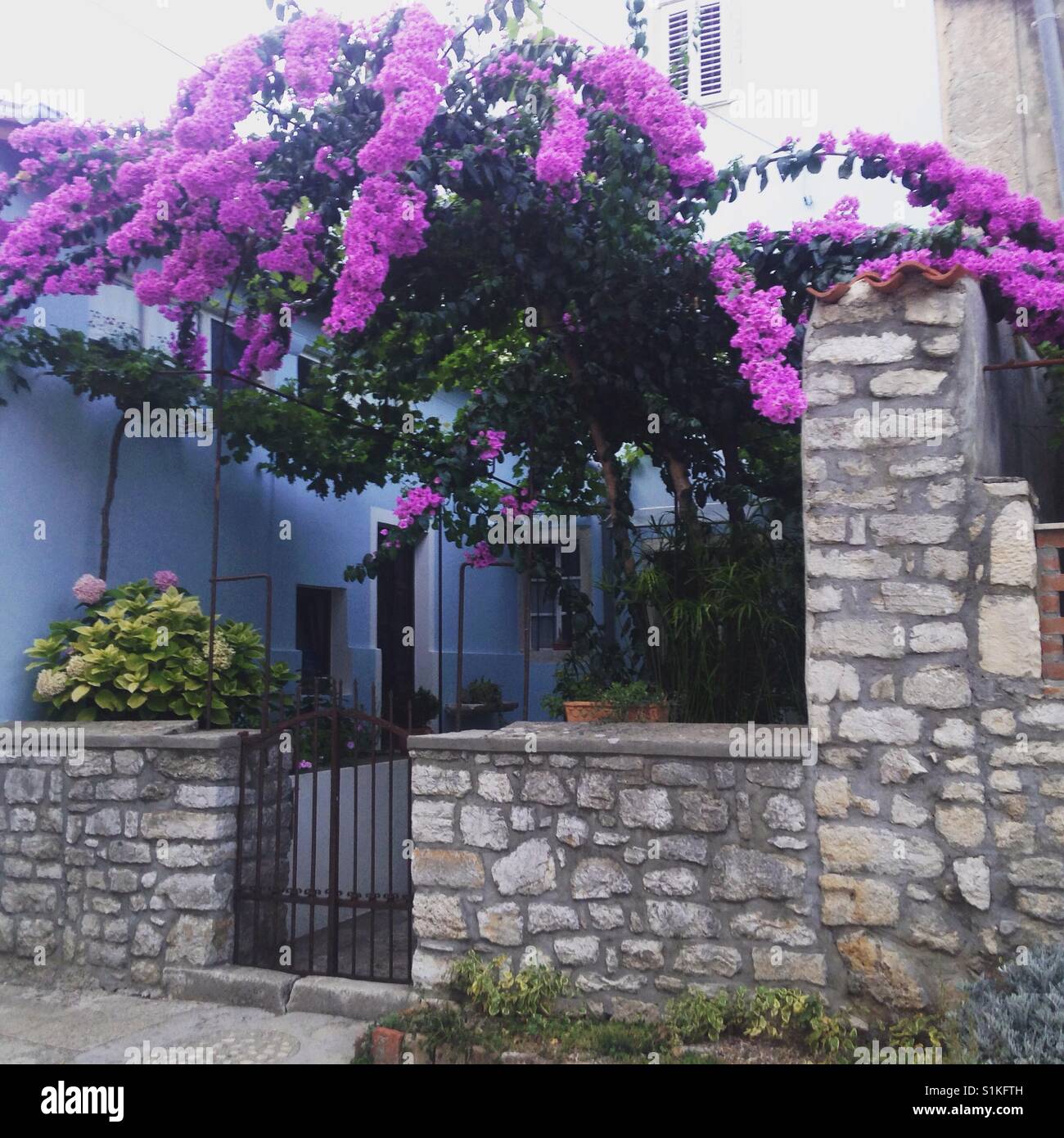 Osor hi-res stock photography and images - Alamy