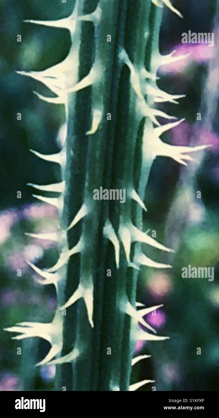 Netherfield lagoons nottingham hi-res stock photography and images - Alamy