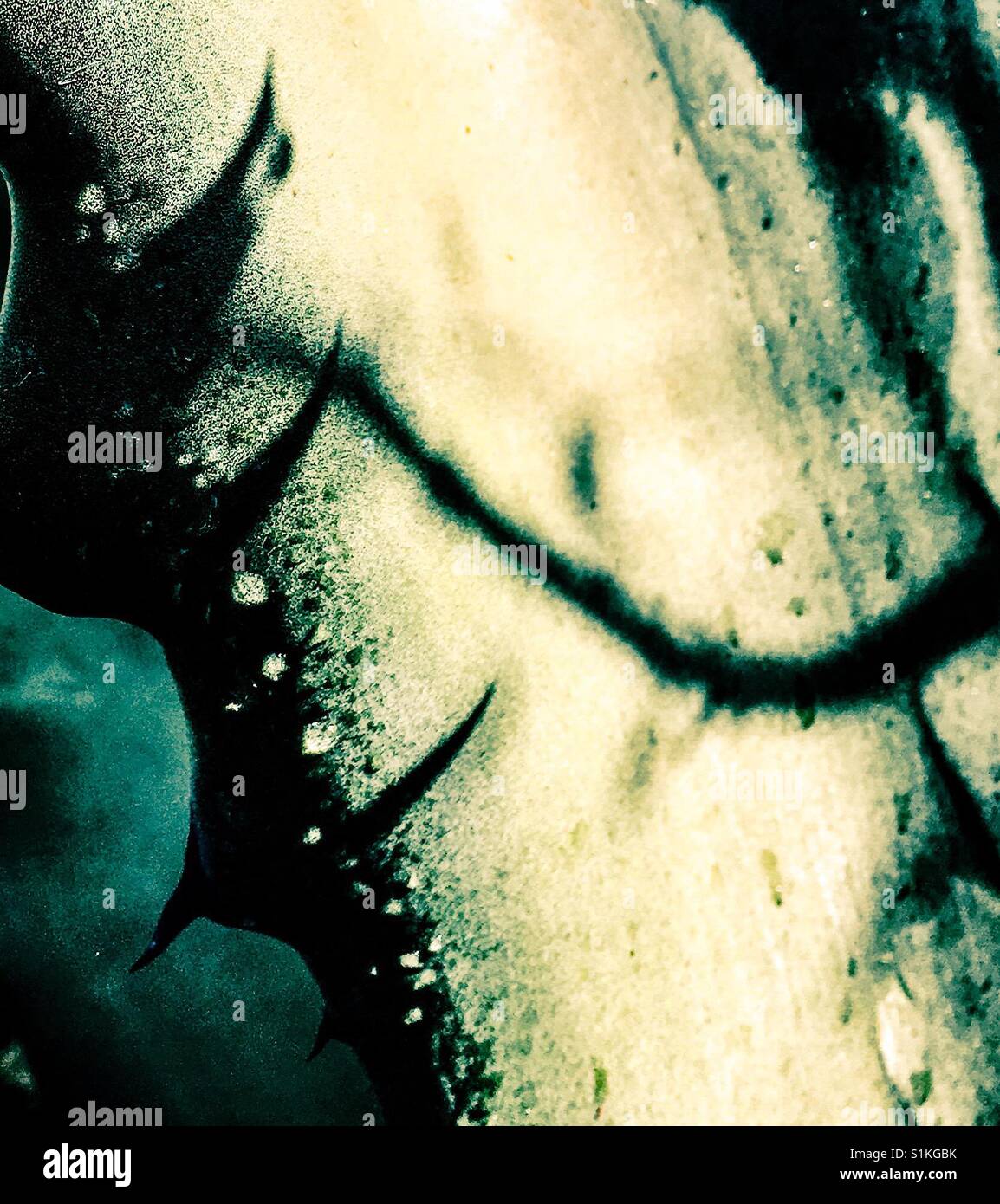 Horror shapes hi-res stock photography and images - Alamy