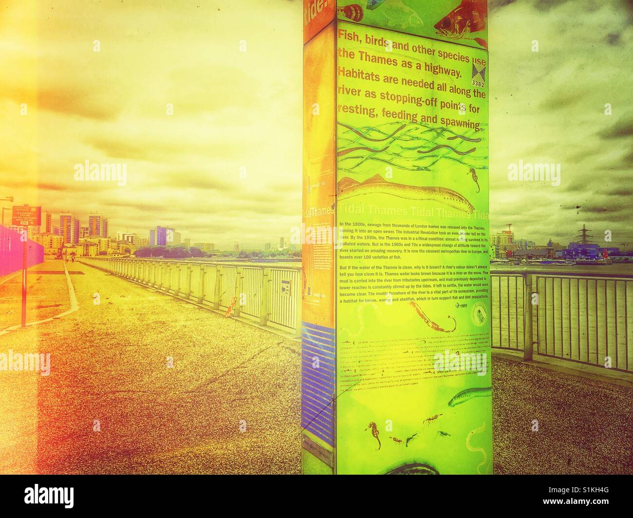 Information marker about river Thames fish and wildlife, Thames path ...