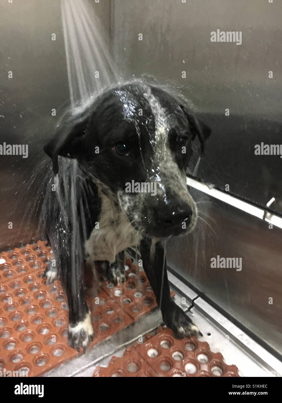 Bath time hi-res stock photography and images - Alamy