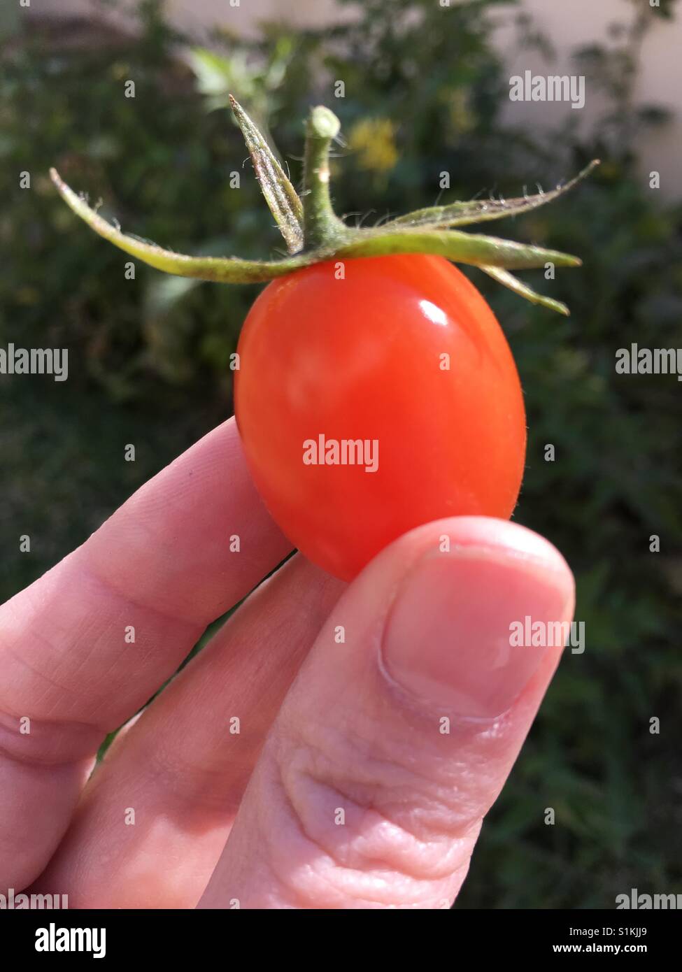First crop hi-res stock photography and images - Alamy