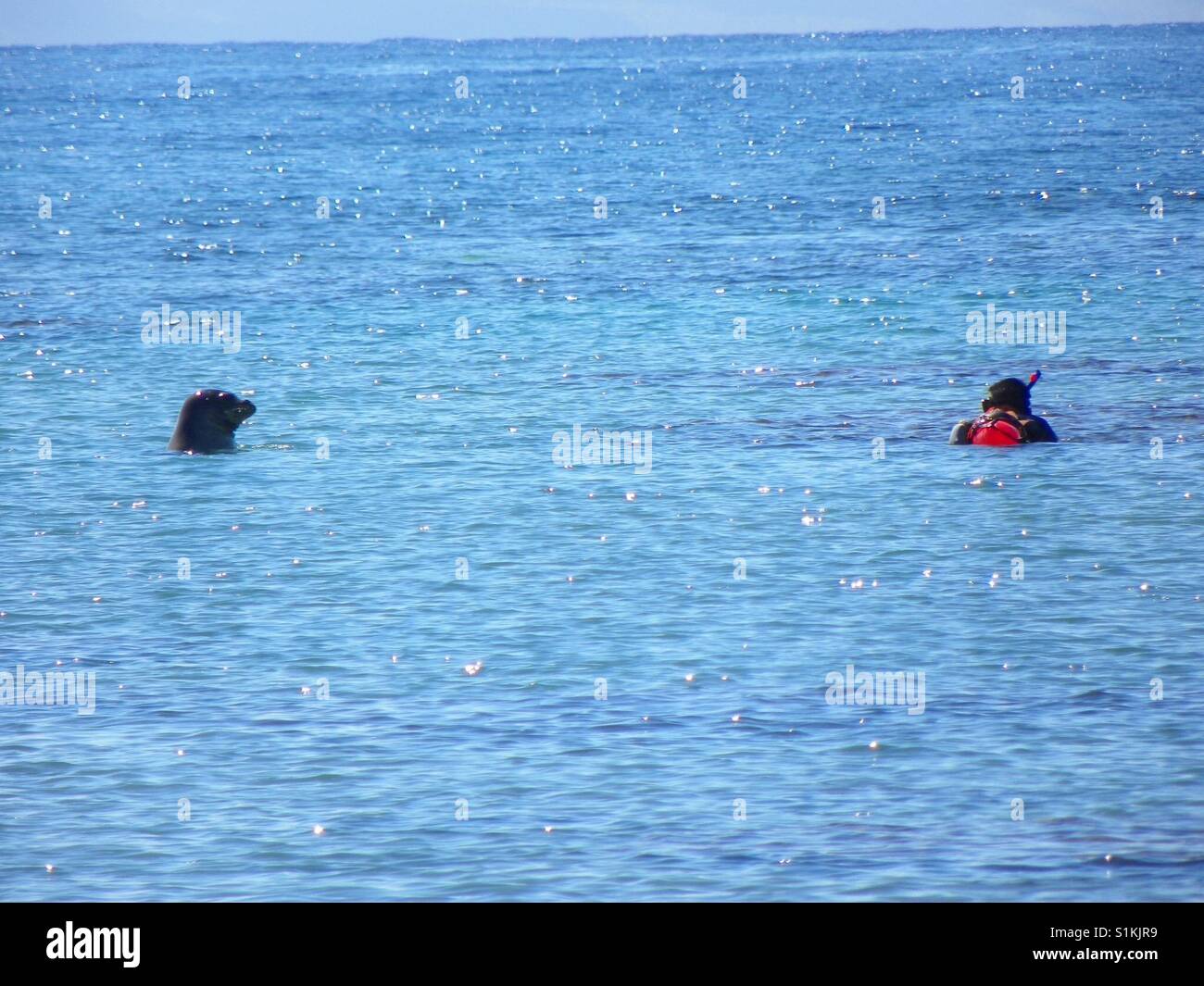 Stare at the ocean hi-res stock photography and images - Alamy