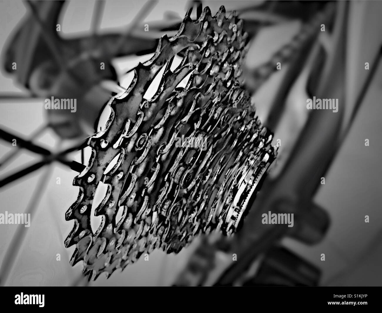 Chain drive to the rear wheels hi-res stock photography and images - Alamy