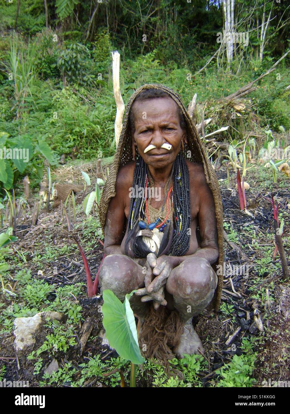 Koteka hi-res stock photography and images - Alamy