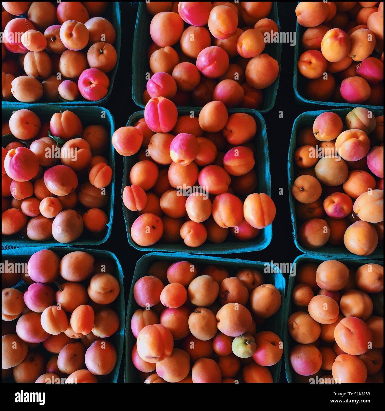Many apricots hi-res stock photography and images - Alamy