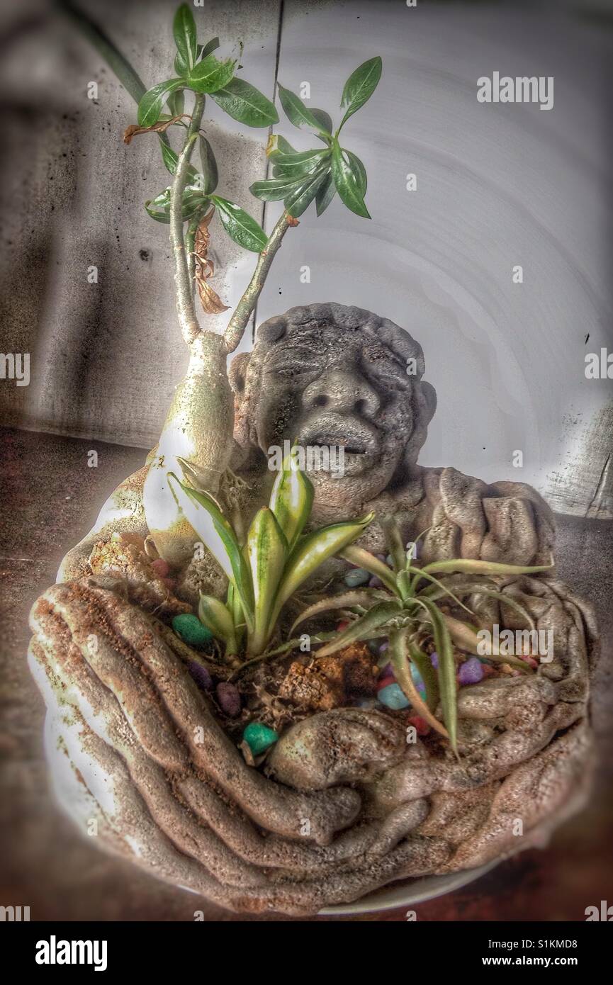 Unique pot hi-res stock photography and images - Alamy