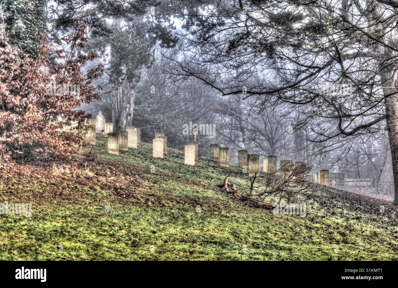 Hidden cemetery hi-res stock photography and images - Alamy