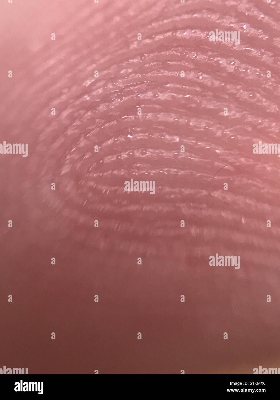 Sweat close up skin hi-res stock photography and images - Alamy