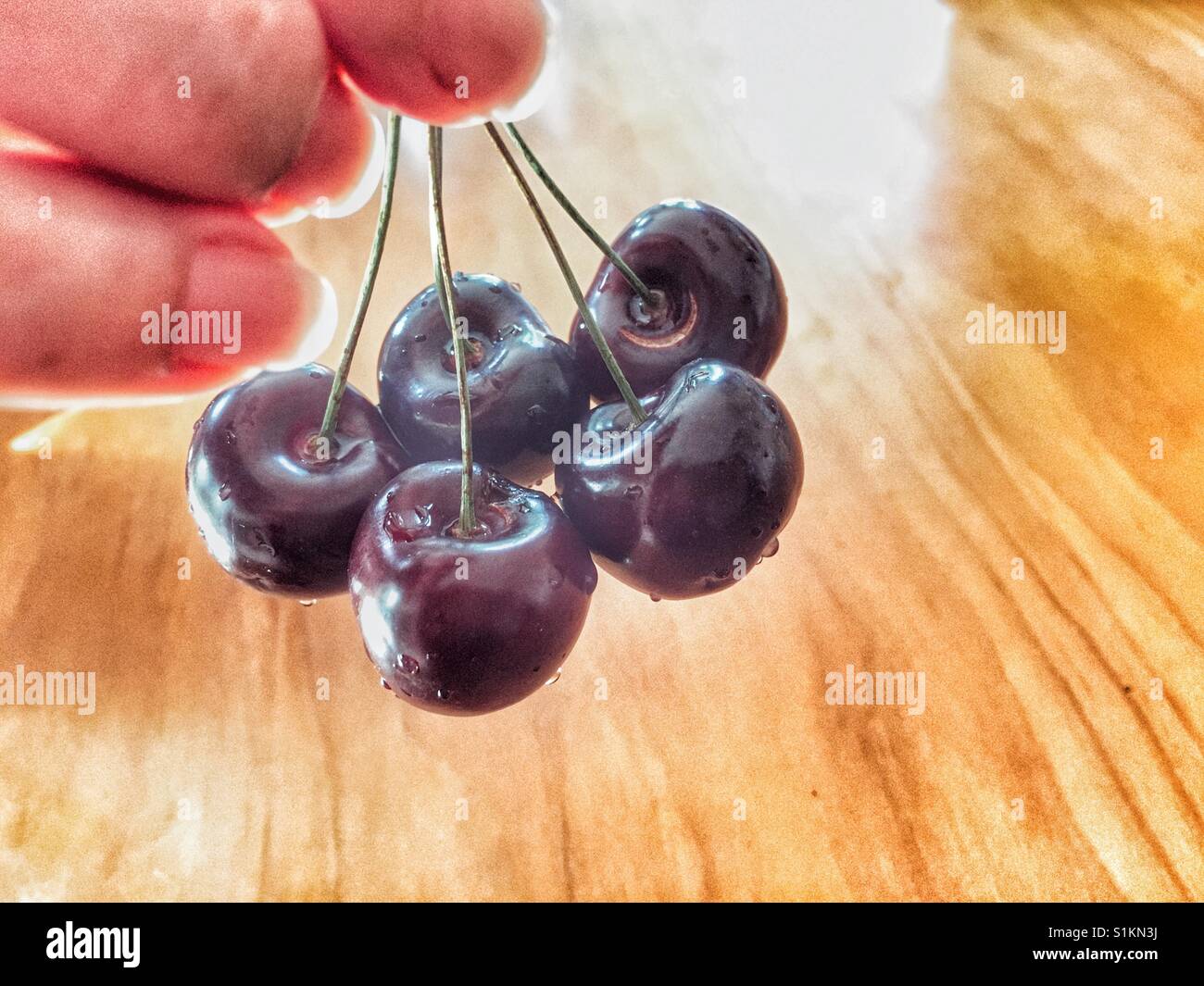Hand holding five ripe cherries Stock Photo - Alamy