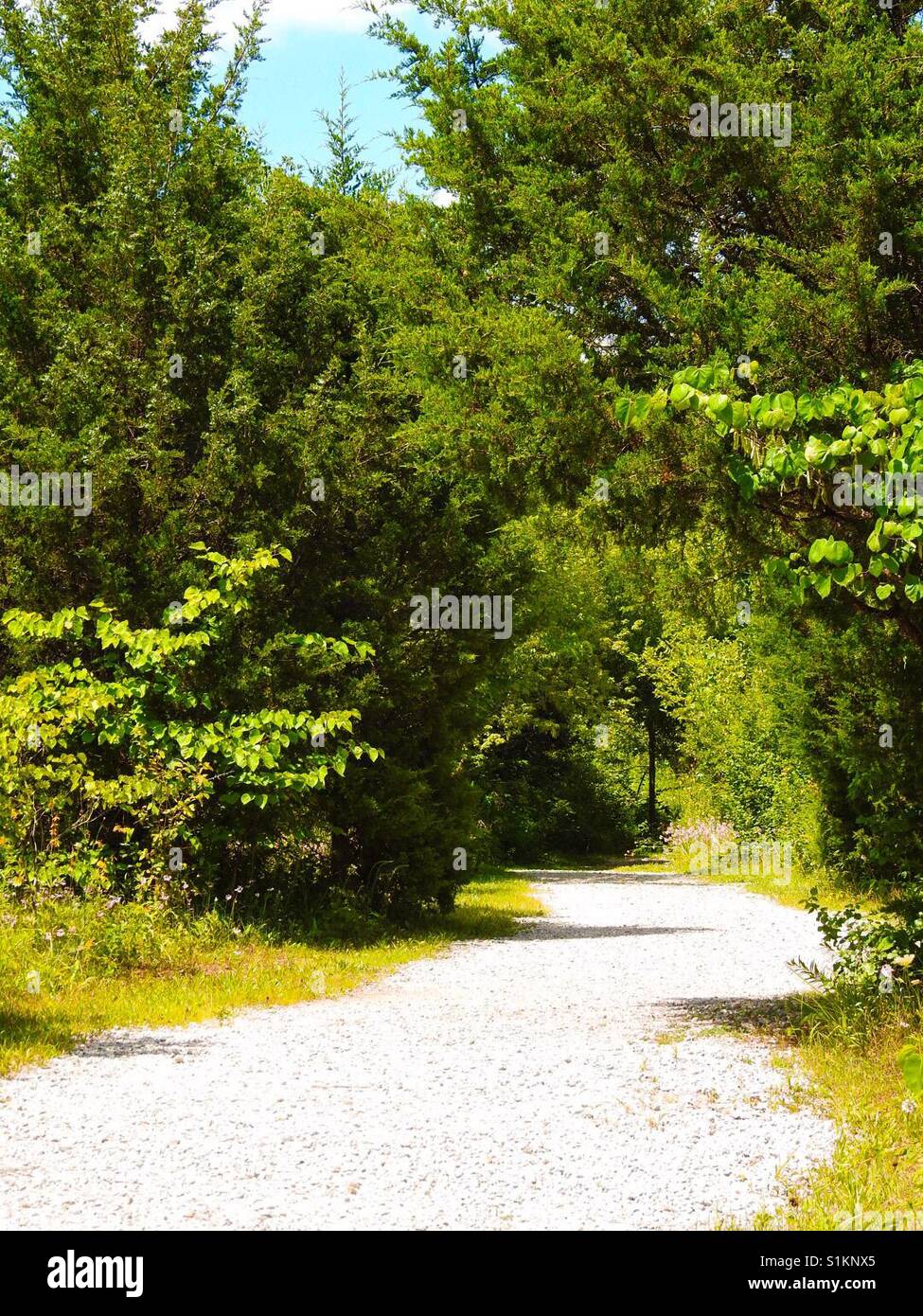 Golden path hi-res stock photography and images - Alamy