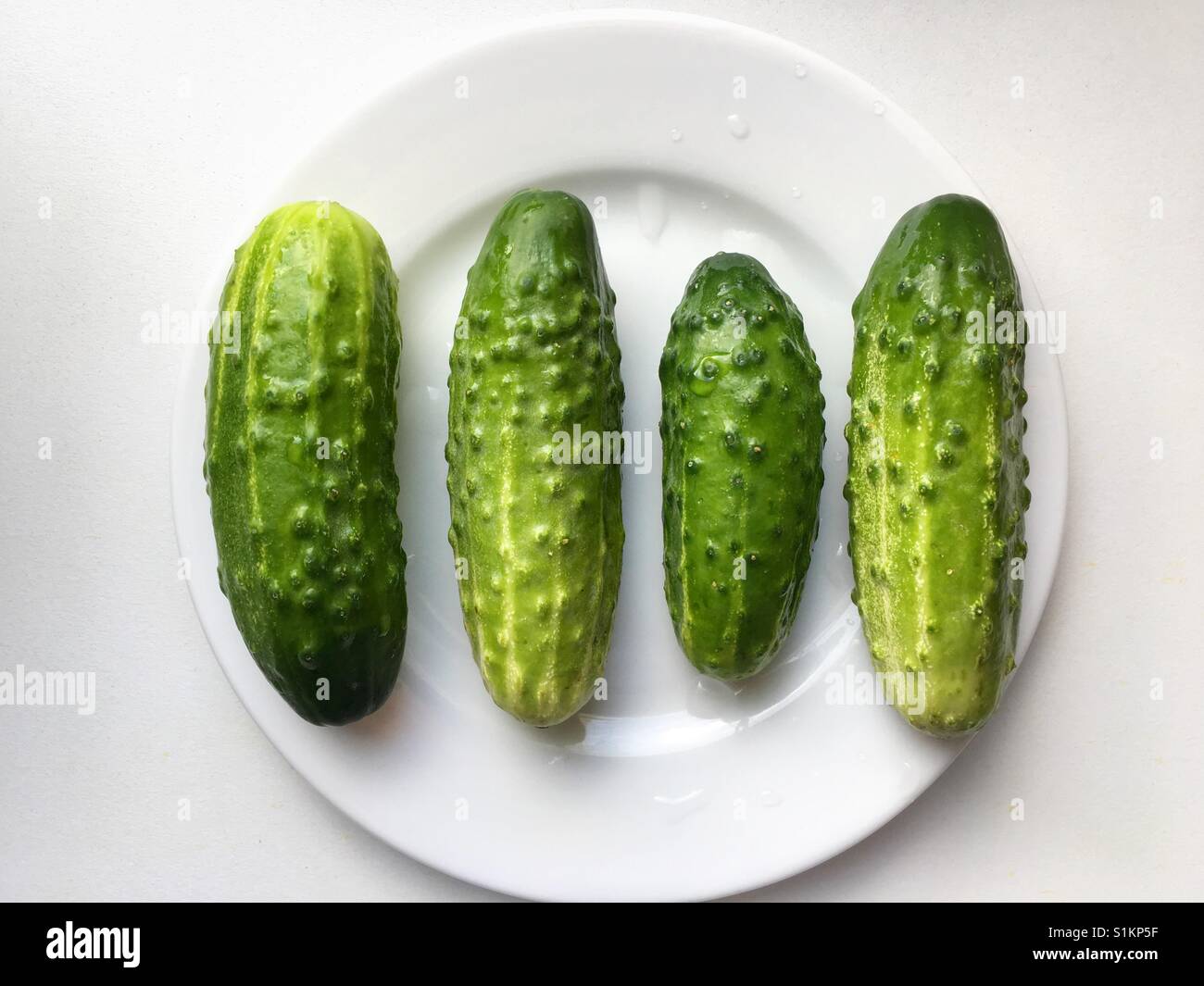 Cucumbers wallpaper hi-res stock photography and images - Alamy