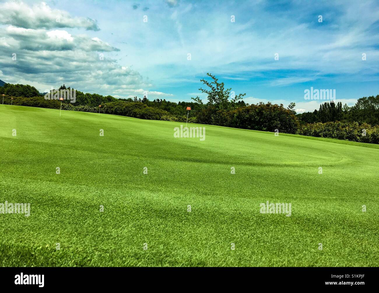 Putting green in summer light Stock Photo - Alamy