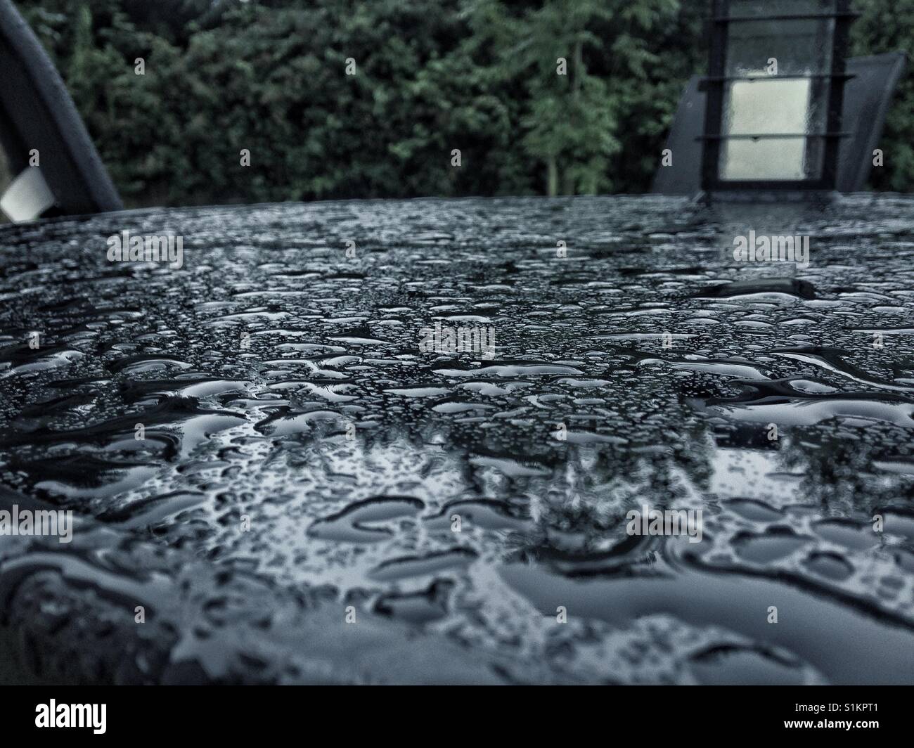 Rainey hi-res stock photography and images - Alamy