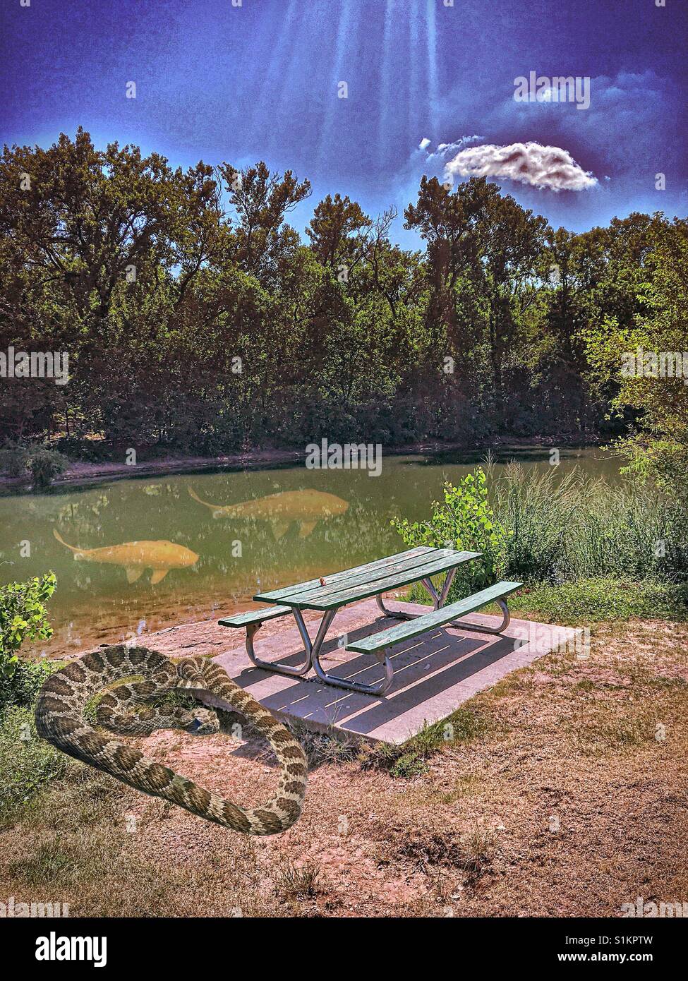 Snake Pond High Resolution Stock Photography and Images - Alamy