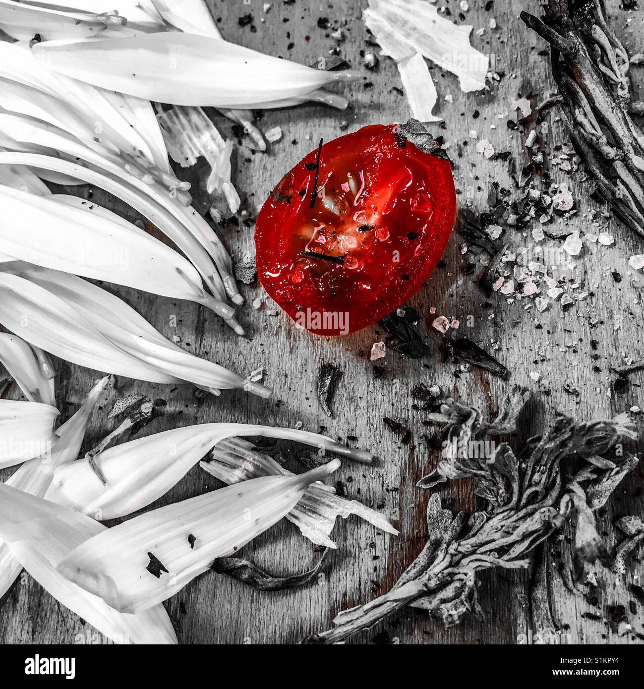 Really red Roma tomato Stock Photo - Alamy