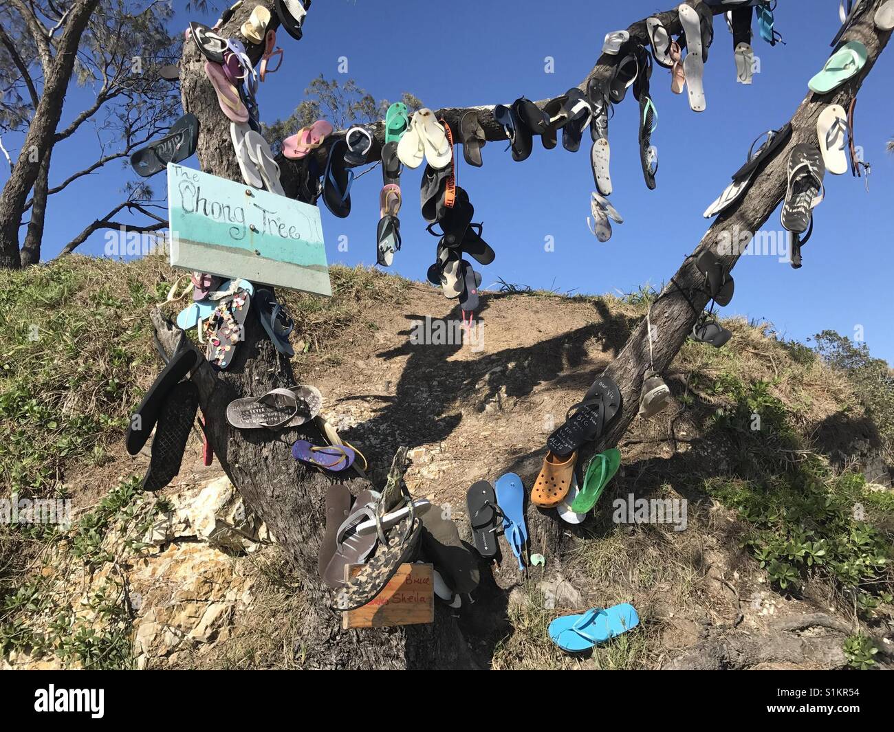 Thong tree hi-res stock photography and images - Alamy