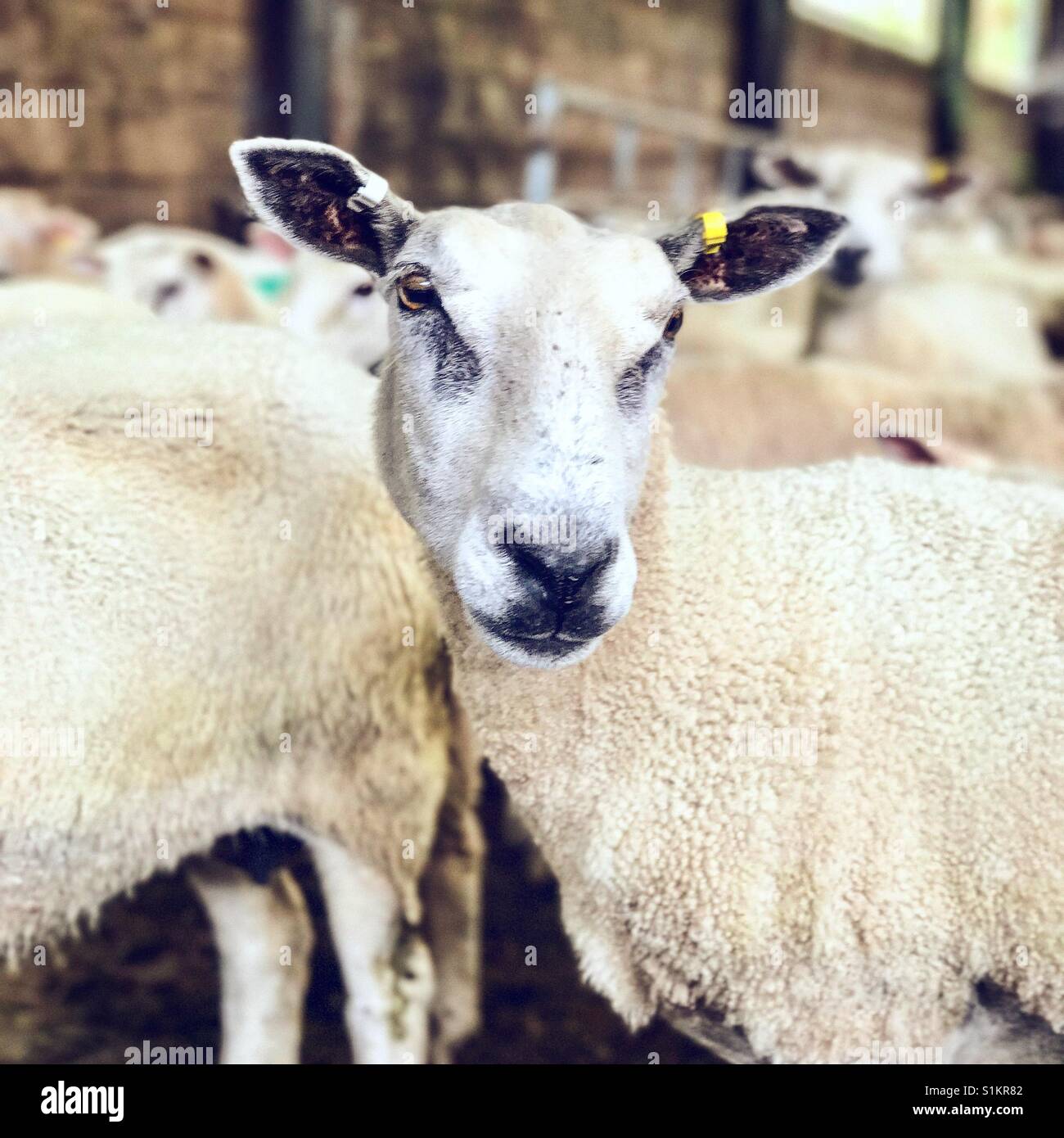 Eww hi-res stock photography and images - Alamy