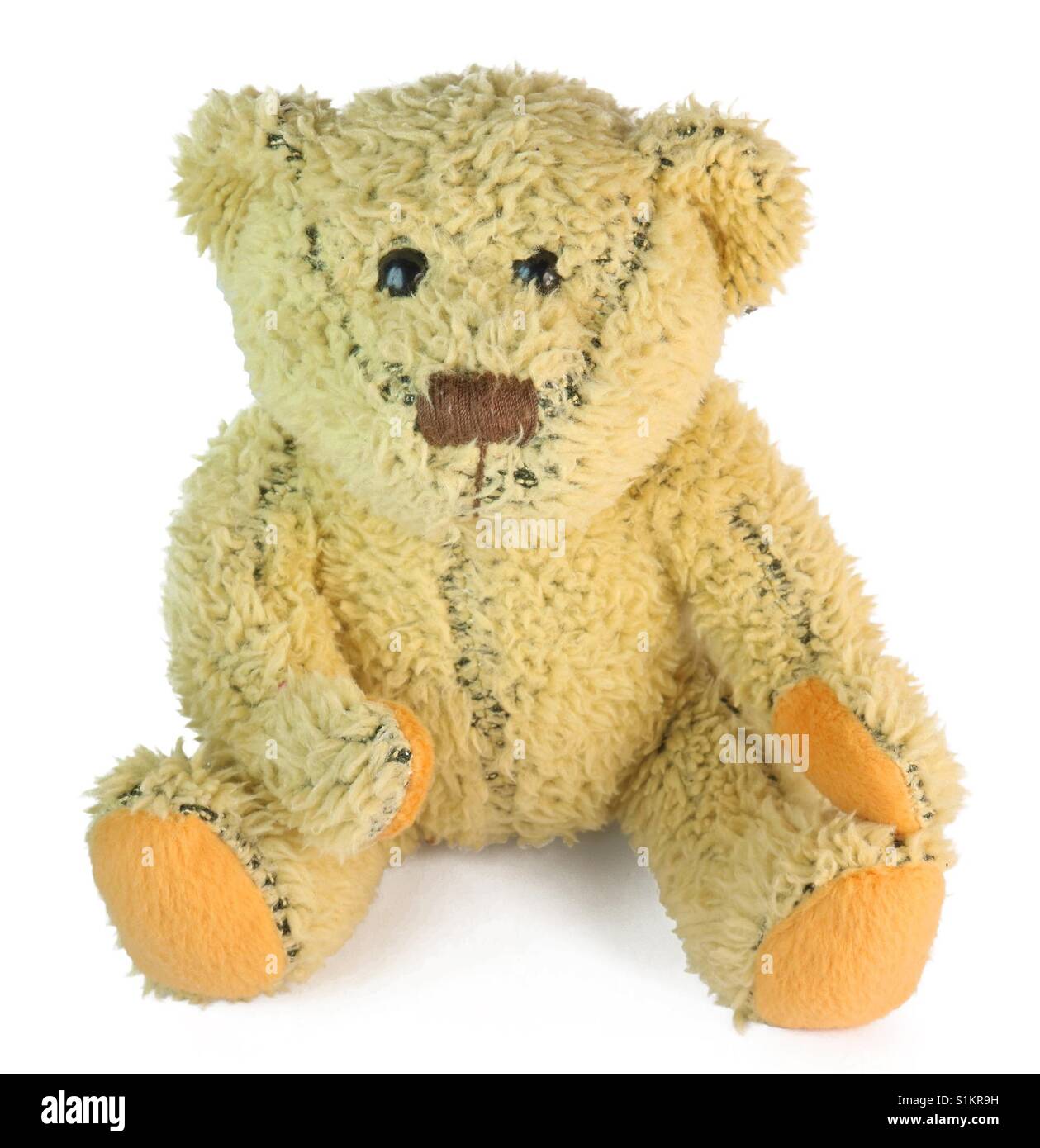 isolated, soft, fun, bear, white, teddie, brown, sitting, fur, teddy ...