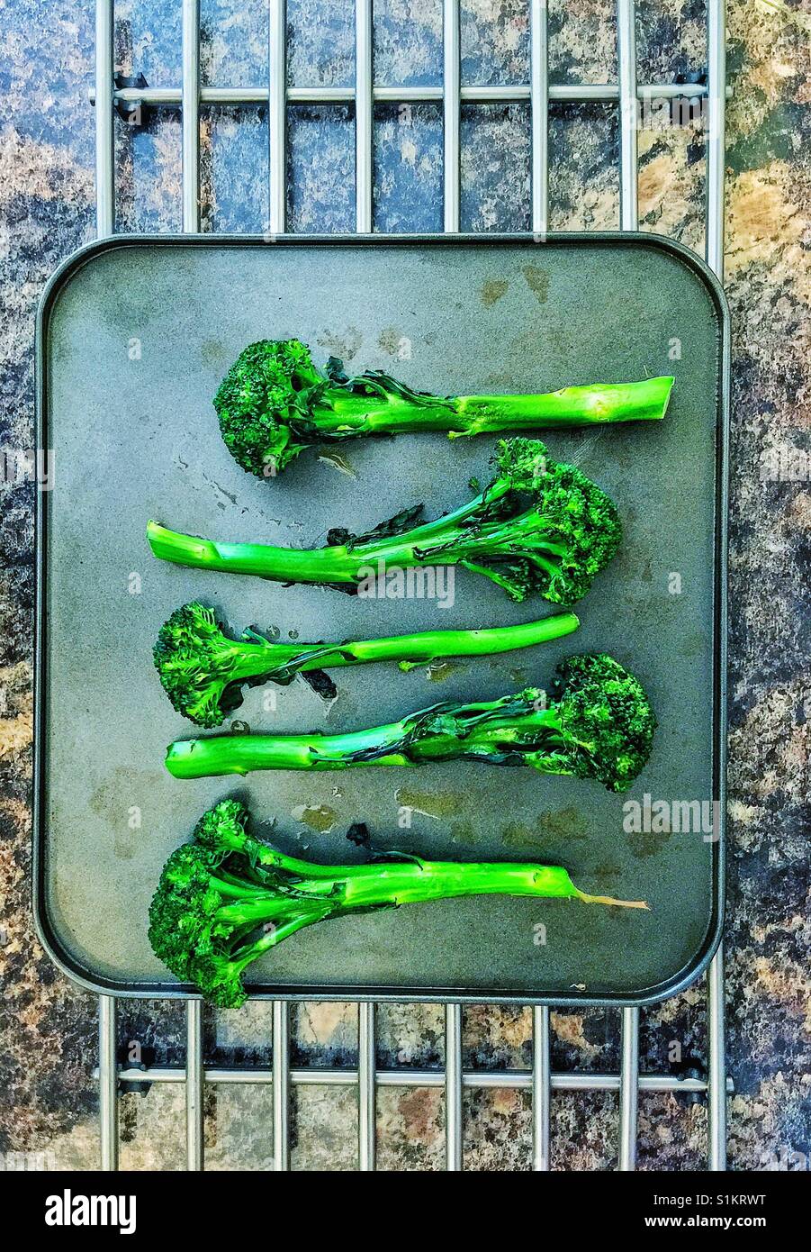 Broccoli on an oven tray Stock Photo - Alamy