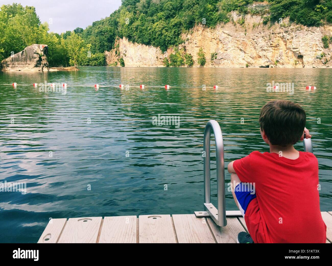 Contemplating lake swimming Stock Photo - Alamy