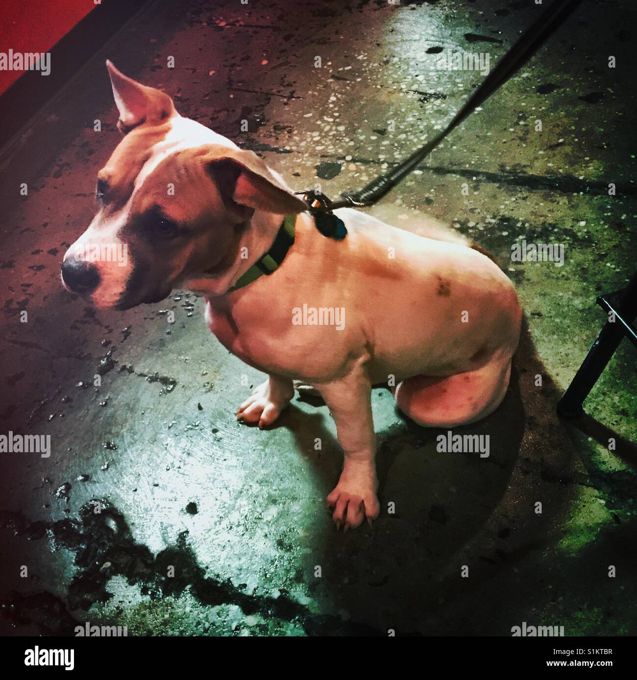 Sad bar hi-res stock photography and images - Alamy