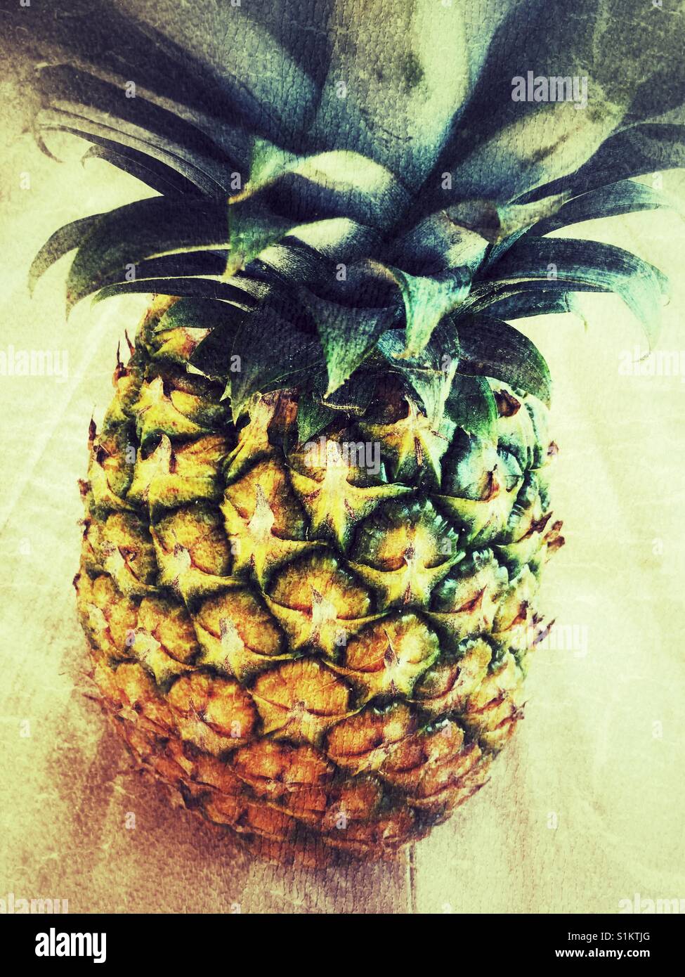 Fresh picked pineapple hi-res stock photography and images - Alamy