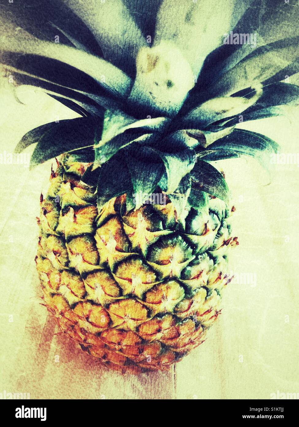 Fresh picked pineapple hi-res stock photography and images - Alamy